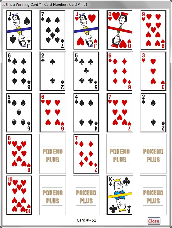 POKENO PLUS - Bingo Rose Software